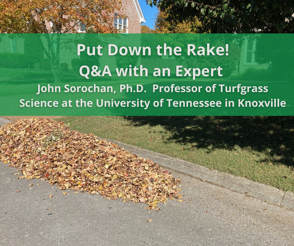 Put down the rake – Q&A with an expert - Joy of Mowing