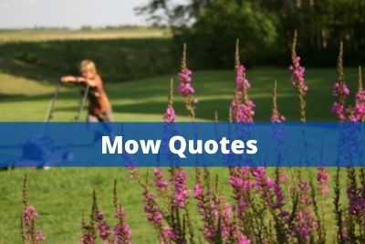 Mow Quotes: A Little Lawn Care Inspiration - Joy of Mowing