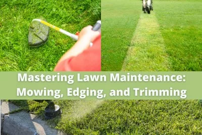 Mastering Lawn Maintenance: A Guide to Mowing, Edging, and Trimming ...